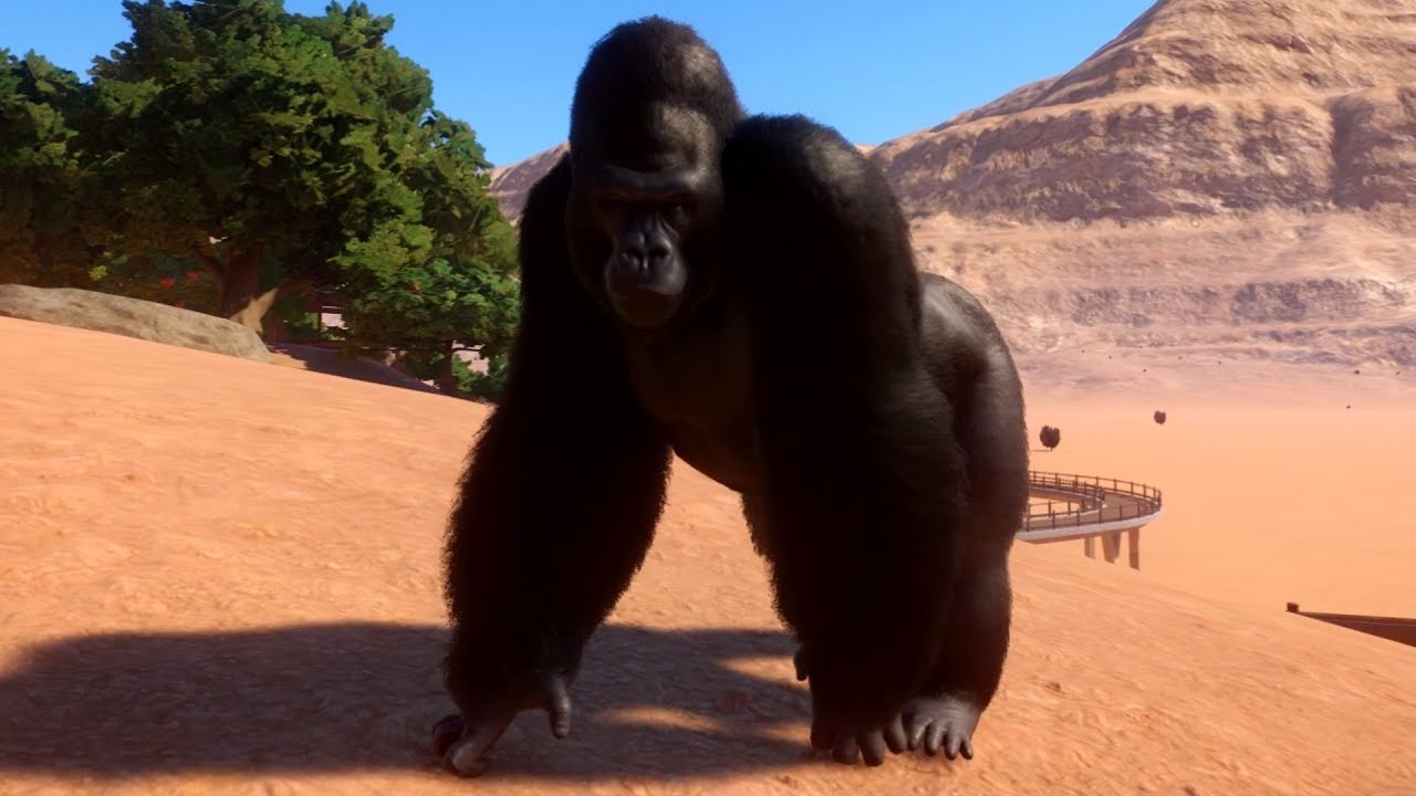 Planet Zoo - Western Lowland Gorilla Gameplay (PC HD) [1080p60FPS ...