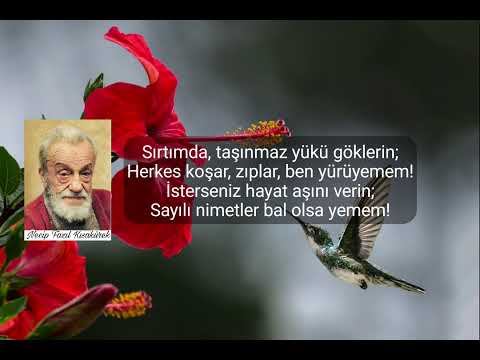 Allah Dedim Necip Fazıl Kısakürek