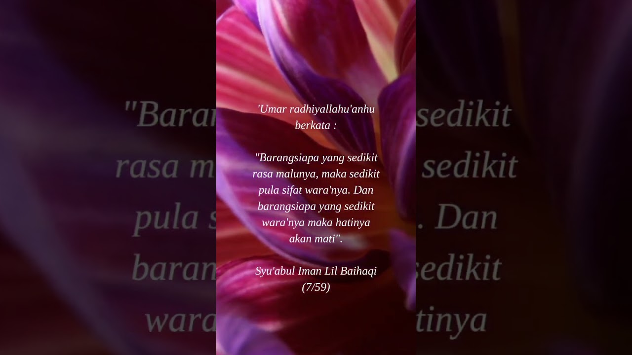 quotes islami | kata kata bijak | sedikit rasa malu, hati akan mati # ...