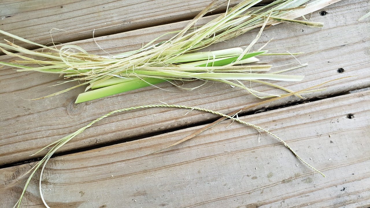 Making Cattail Cordage easy - YouTube