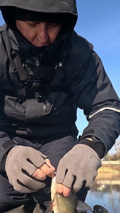 Густера на Гирлянду) #fishing #рыбалка #гирлянда #чертики - YouTube