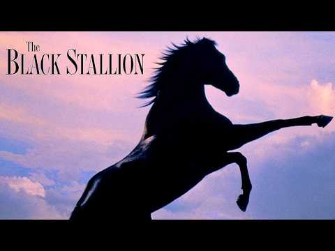 Best Shots of THE BLACK STALLION (1979)