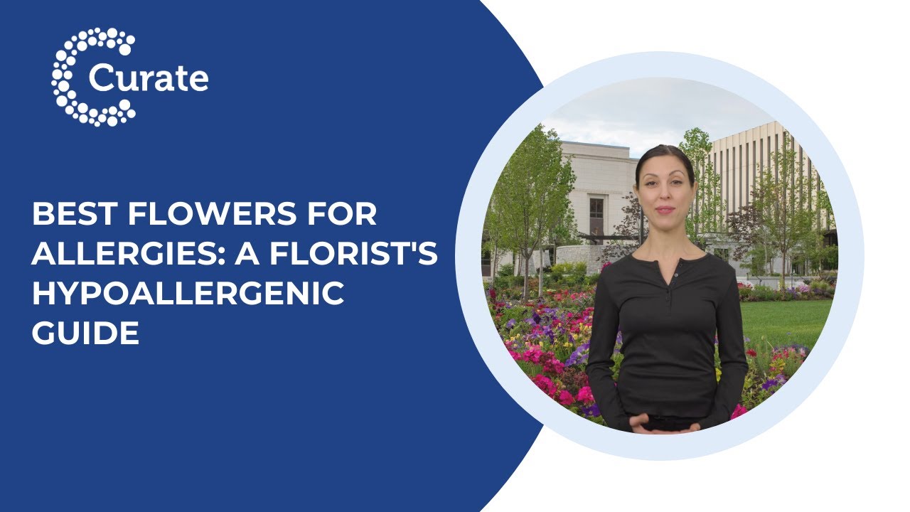 Best Flowers for Allergies A Florist's Hypoallergenic Guide - YouTube