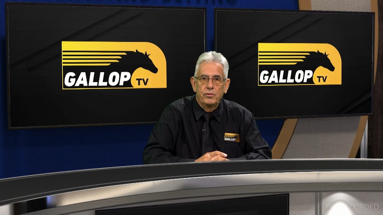 Gallop TV - Watch Live Horse Racing Free