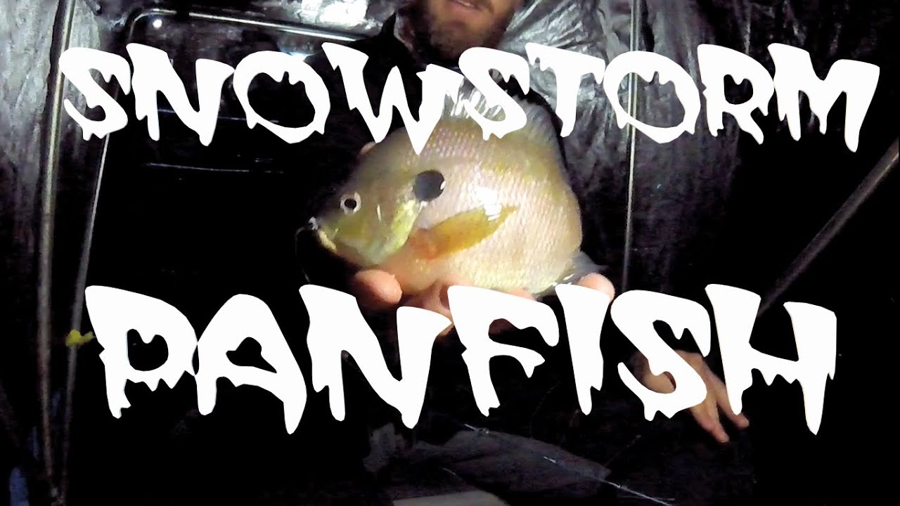 Snowstorm Panfish - Ice fishing for crappie and bluegill during a ...