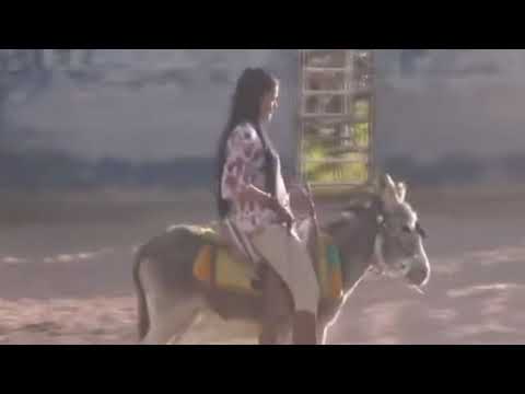 2 ladies training the poor donkey in hot sun 🔆