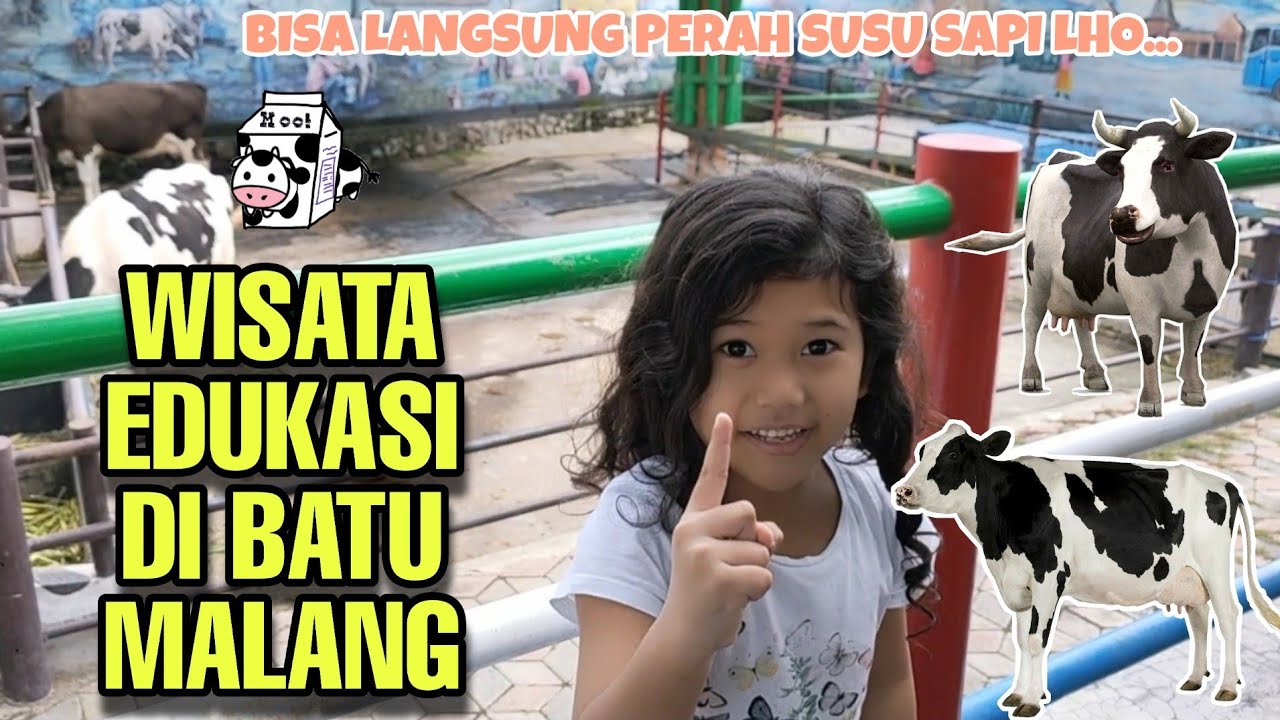 WISATA EDUKASI SUSU DI BATU MALANG ( WESB ) | RESTO ROYAL 360 | KYRA ...