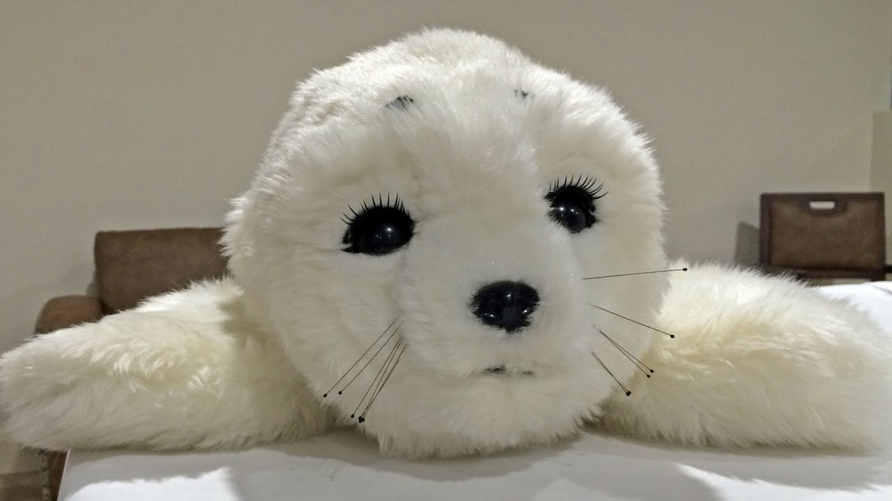 Paro the robotic seal - YouTube