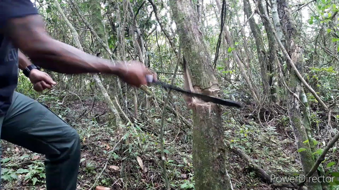 teste de corte cutelaria VALHALLA - YouTube