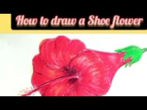 Elements of Art Shape (Organic Shape) How to draw a Shoe Flower with ...