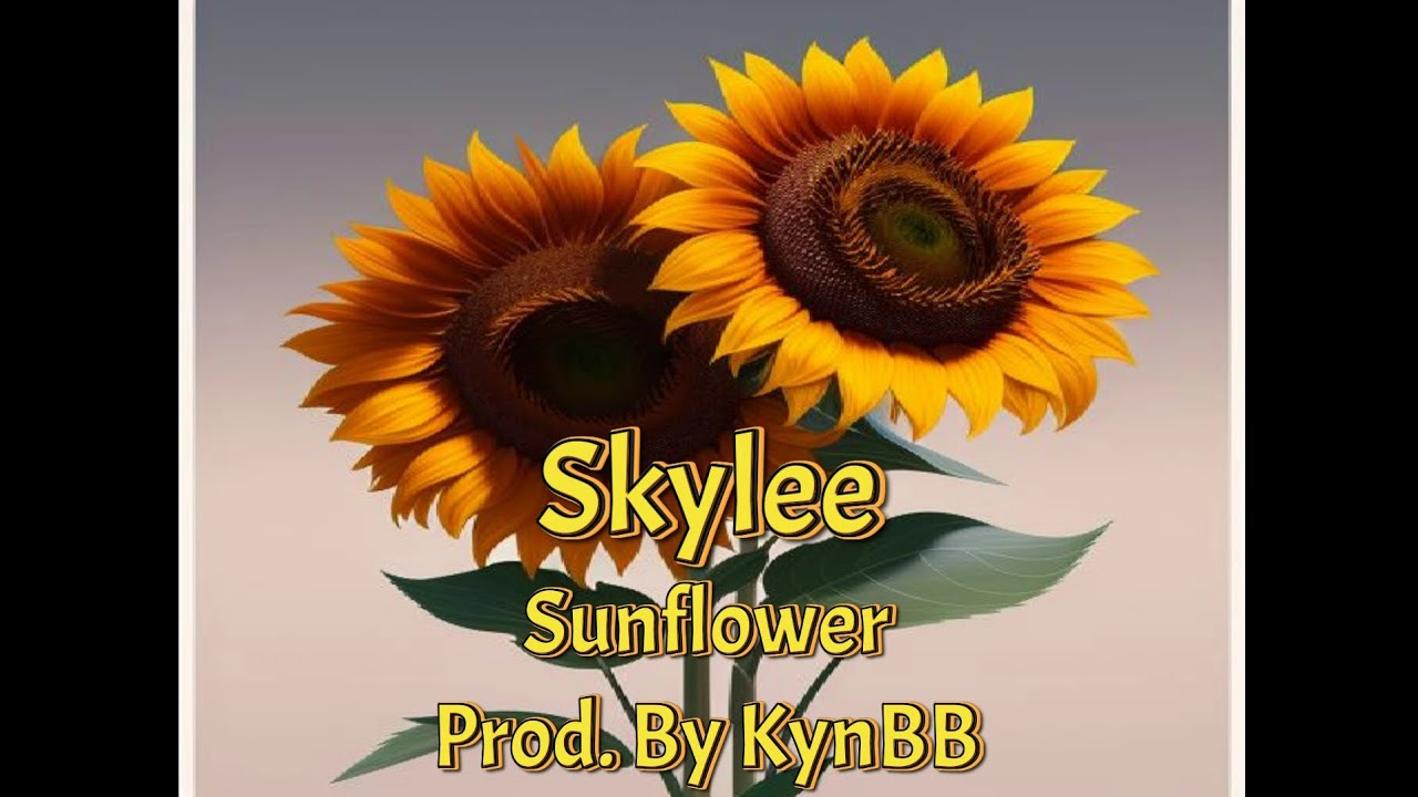 Skylee - Sunflower (Official Audio) - YouTube
