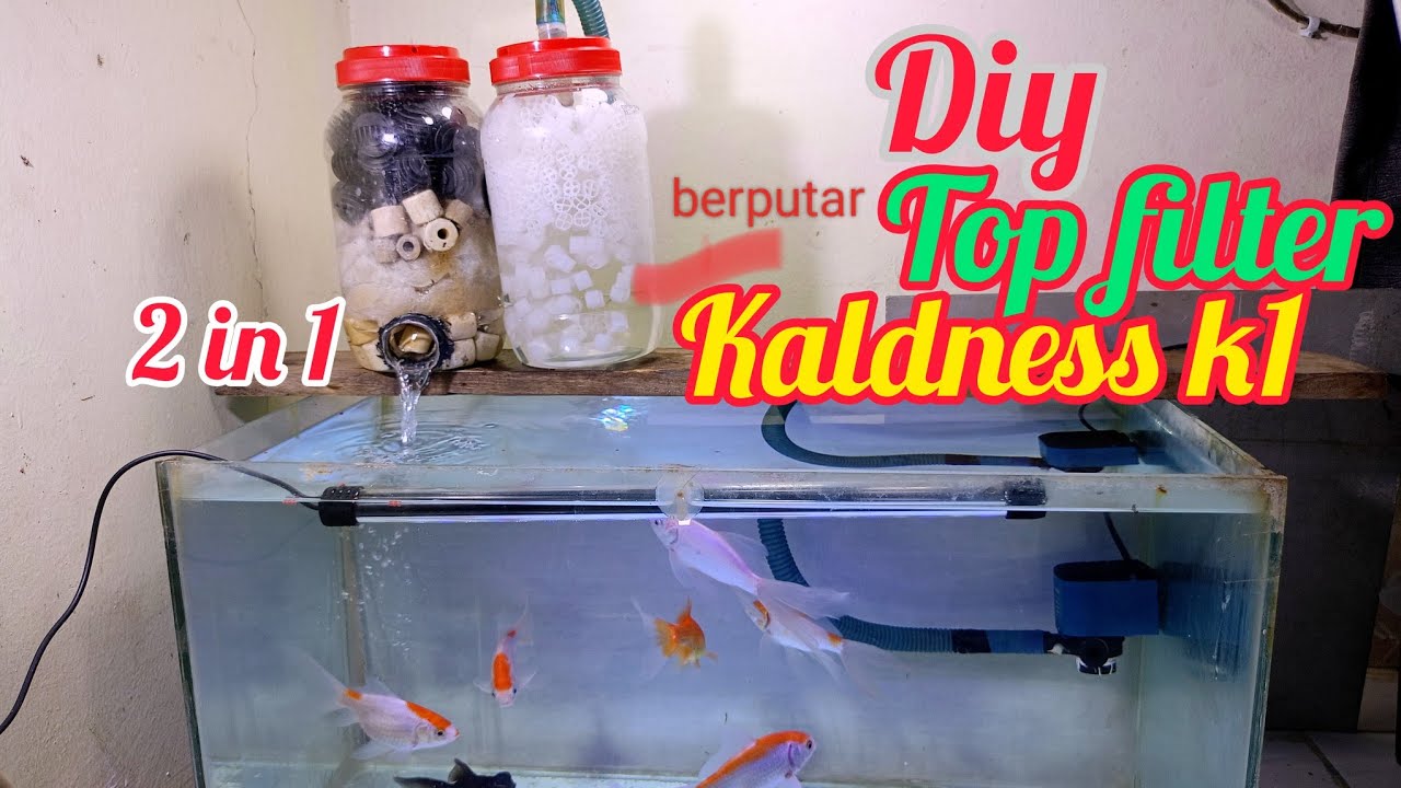 Cara Membuat Filter eksternal Aquarium Dari Toples Bekas #filter - YouTube