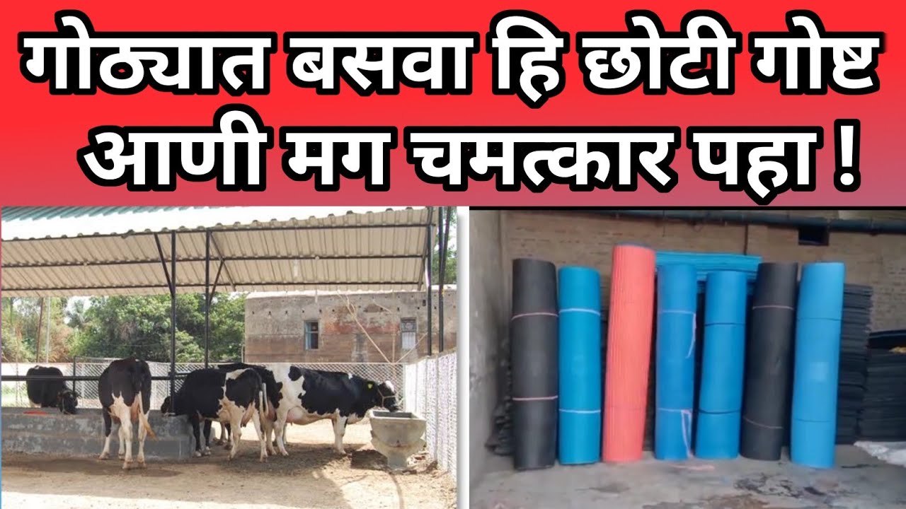 best Mat For Cattles cow Mat best-mat-for-cattles-cow-mat