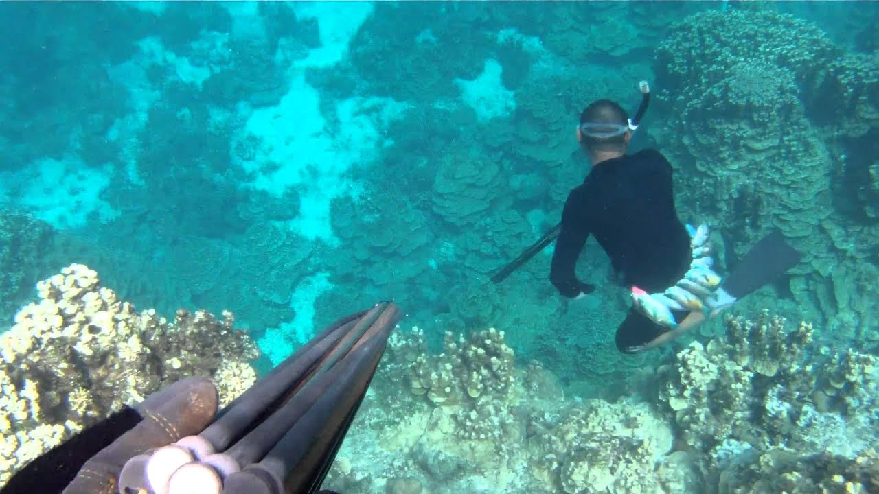 Guam Spearfishing 671 #3 - YouTube
