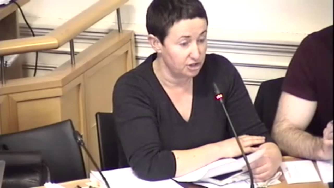 Hazel De Nortuin co opted onto DCC - YouTube