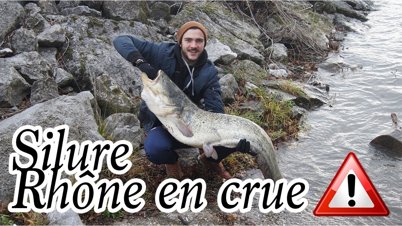 RHONE EN CRUE = SILURE - YouTube