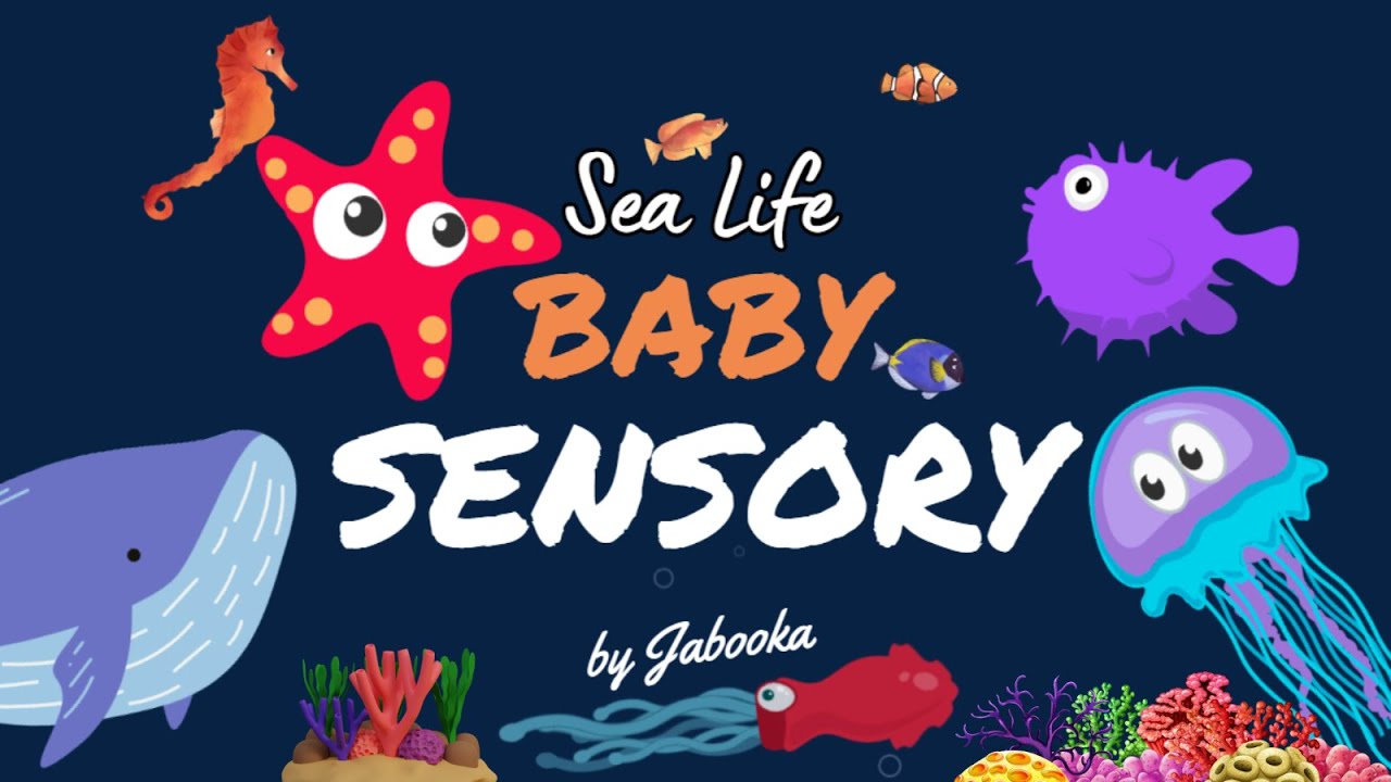 Baby Sea Life - Under the Sea Life - Sensory Video - YouTube
