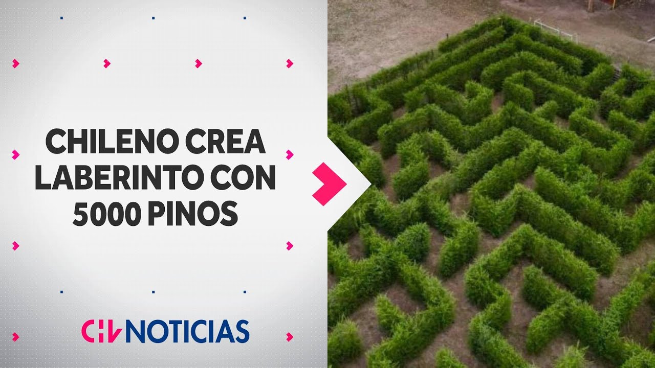 Chileno crea LABERINTO CON 5000 PINOS en San Fernando: Es el más grande ...