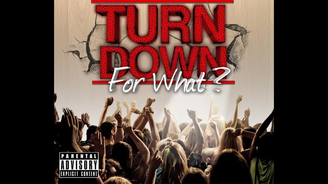 DJ Snake Feat. Lil Jon, Pitbull, Juicy J, Ludacris, & 2 Chainz - Turn ...