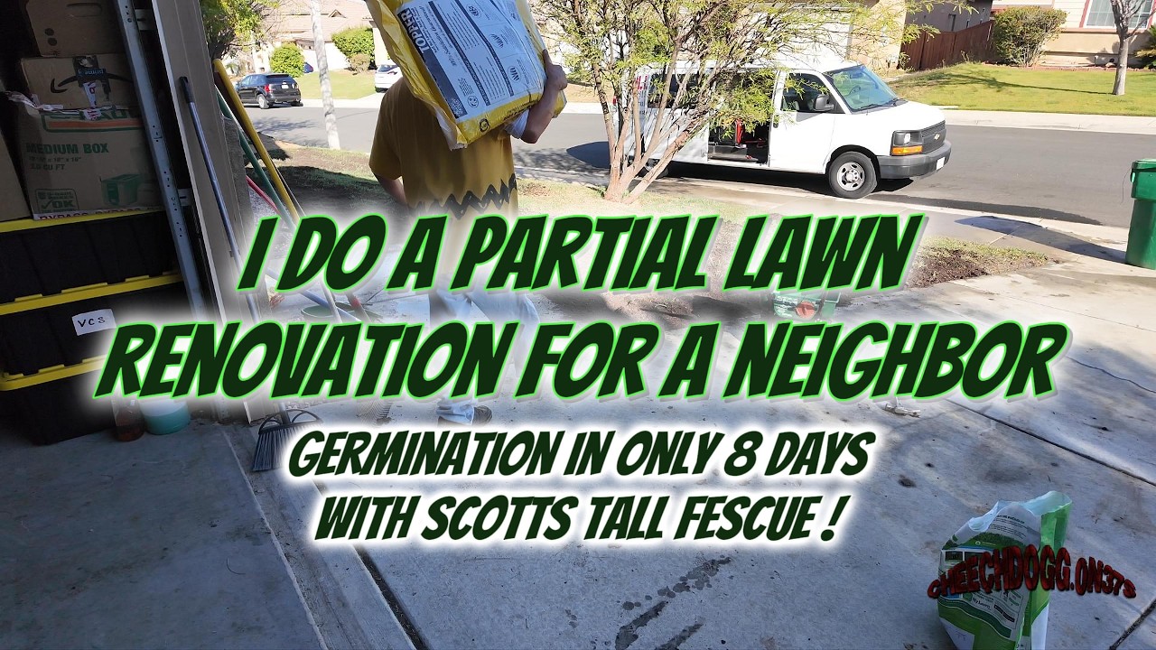 Partial Lawn Renovation - Scotts Tall Fescue Seed - YouTube