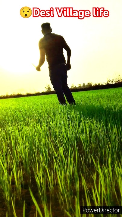 RDSTYLE 😮 DESI VILLAGE LIFE #youtubeshorts #viralshort #shortvideo #shorts #shortsfeed #rap # ...