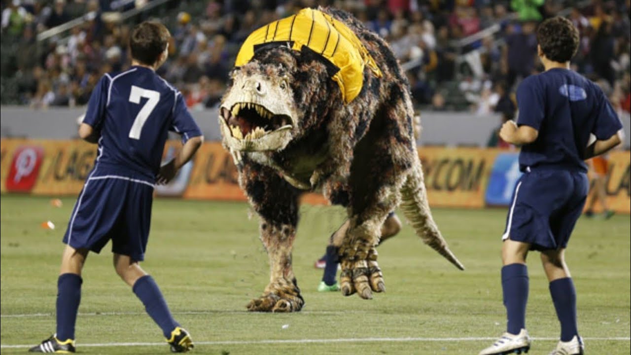 Animals on the Football Pitch! - YouTube