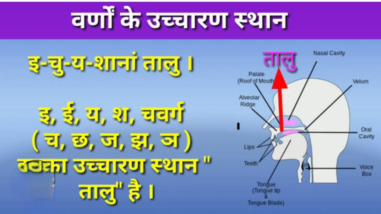 Sanskrit, hindi me varno ka uchcharan sthan, svar,varn vyanjan varn ka ...