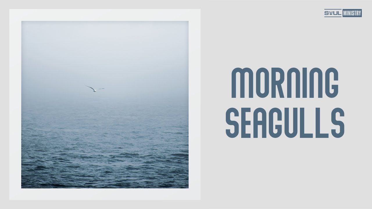 Relaxing Music || Morning Seagulls | Soul Ministry I Best Relaxing ...