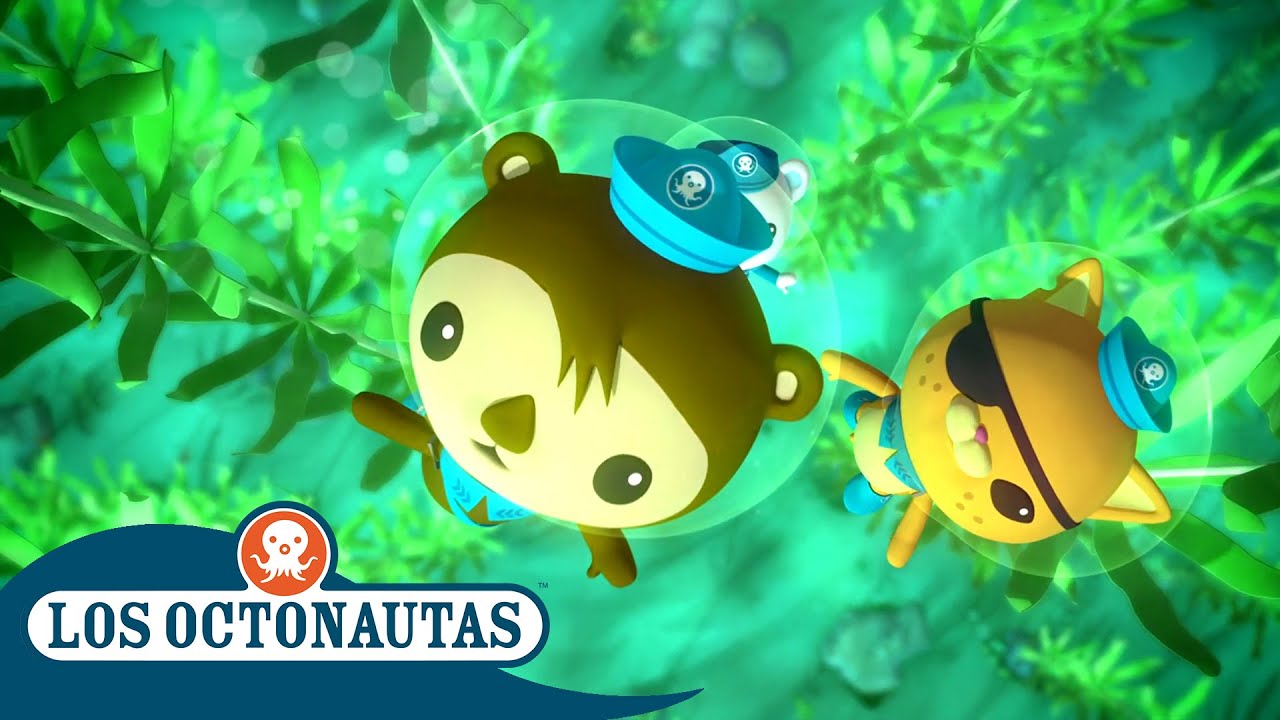 Los Octonautas Oficial En Español - El laberinto gigante de algas ...
