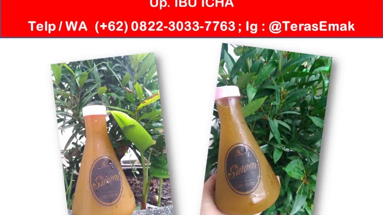 WA 0822-3033-7763 (T-Sel), Harga Sinom - YouTube
