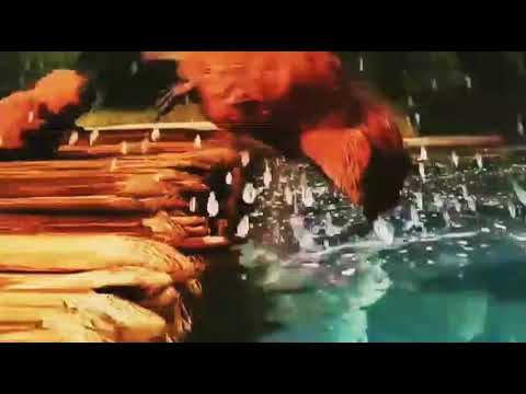 Open Season 1 WaterFall clip - YouTube