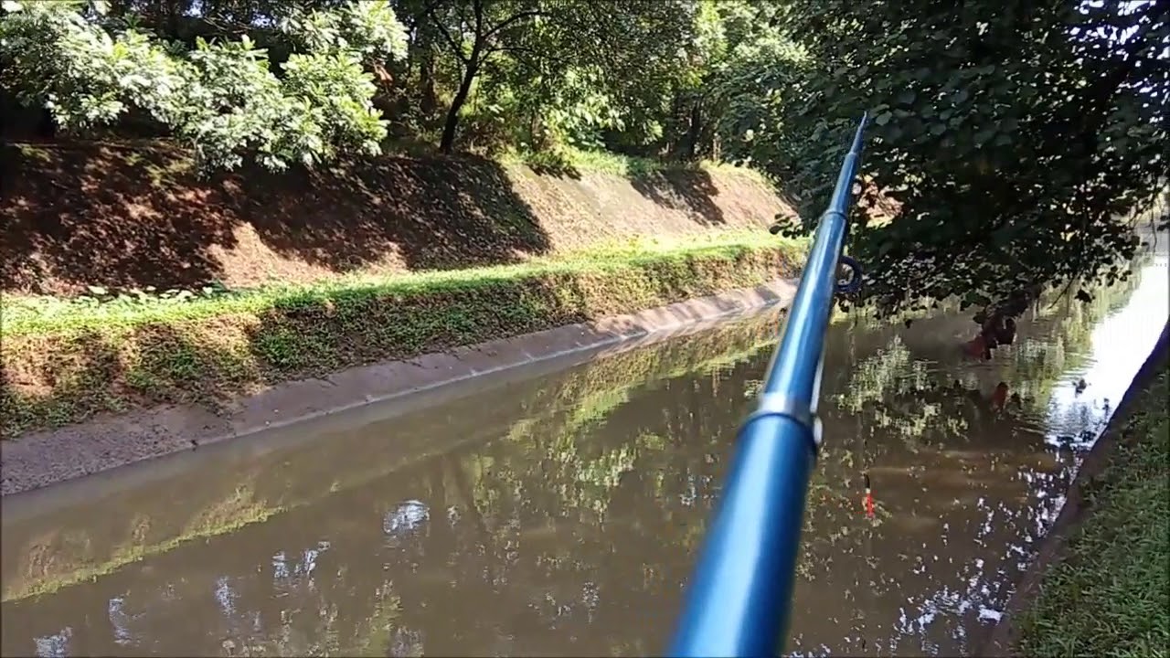 AYO FISHING ( Perdana ) Ada Biawak Di Tamkot! - YouTube
