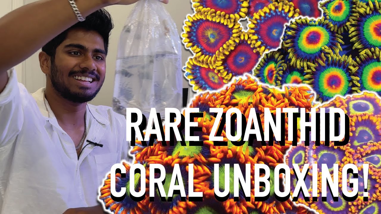 Unboxing the first high end corals for my nano reef tank! - YouTube
