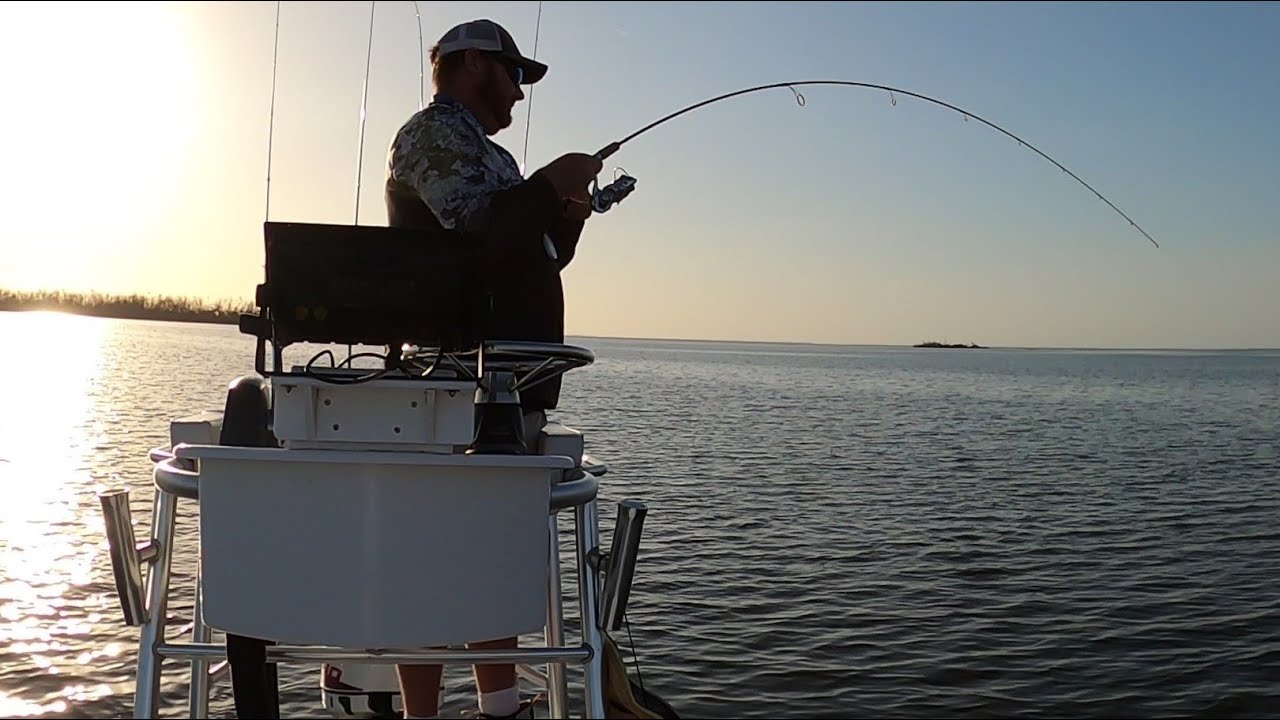 Rare Small Tower Boat Finds the Fish - Sight Fishing Fun! - YouTube