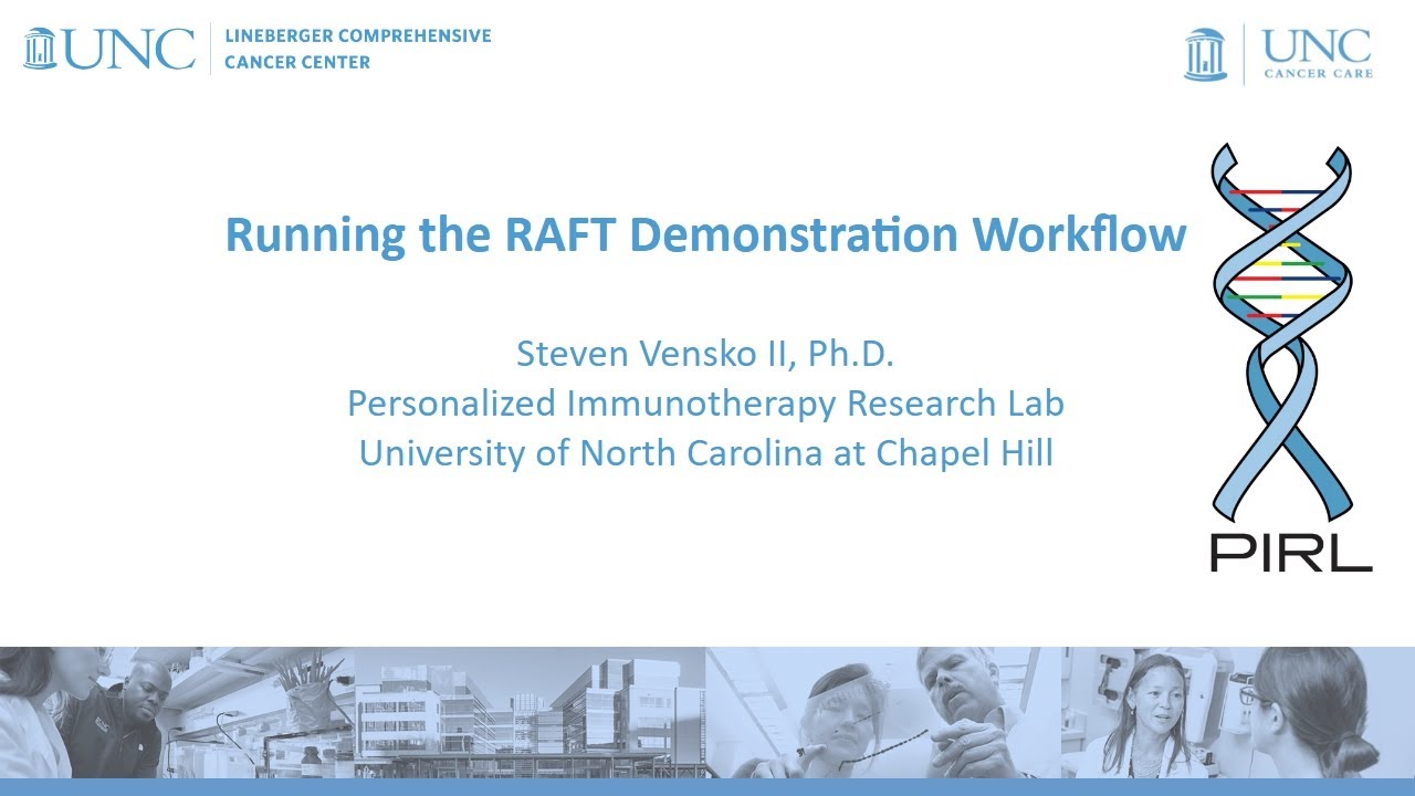 Running a RAFT Demonstration Workflow - YouTube