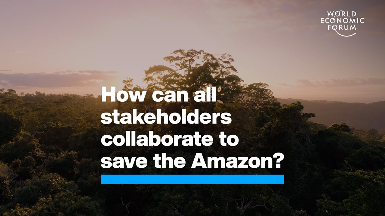How can all stakeholders collaborate to save the Amazon? - YouTube