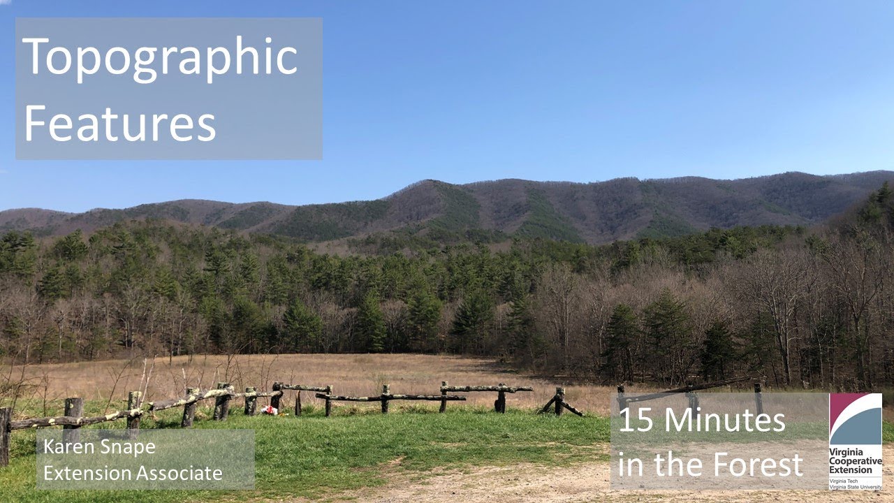 Fifteen Minutes in the Forest: Topographic Features - YouTube