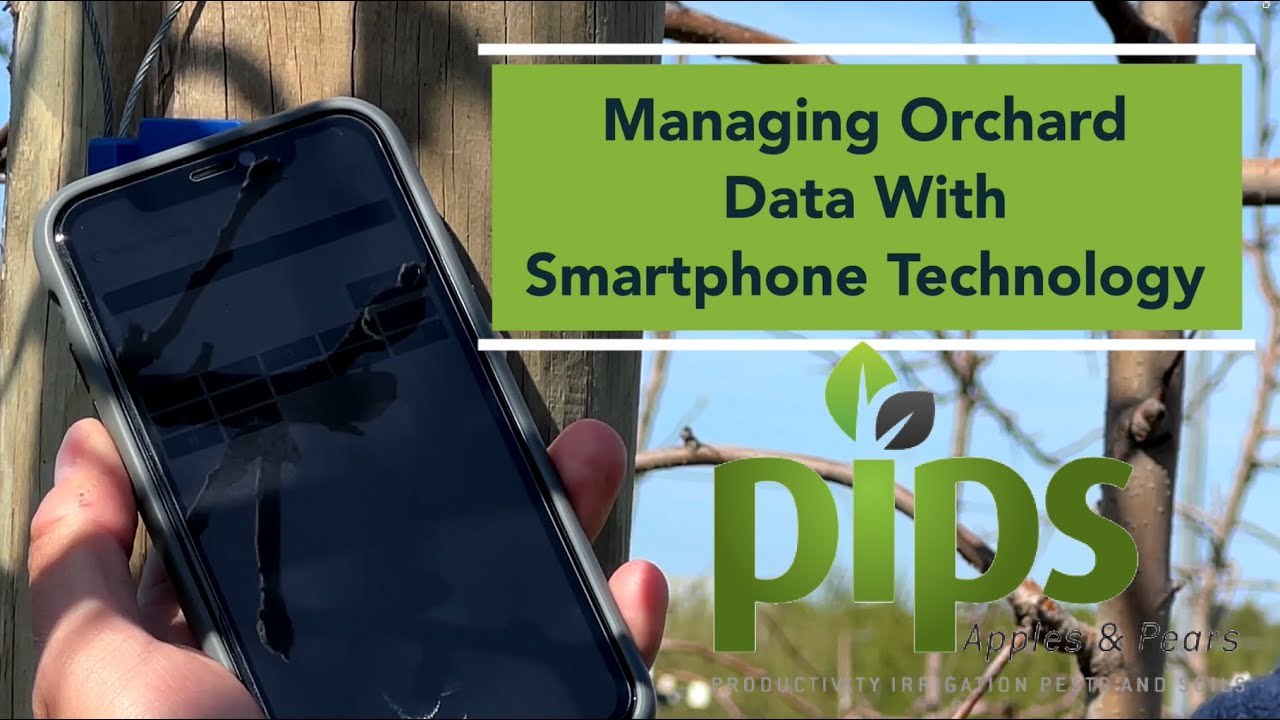 Managing orchard data with smartphone technology - YouTube
