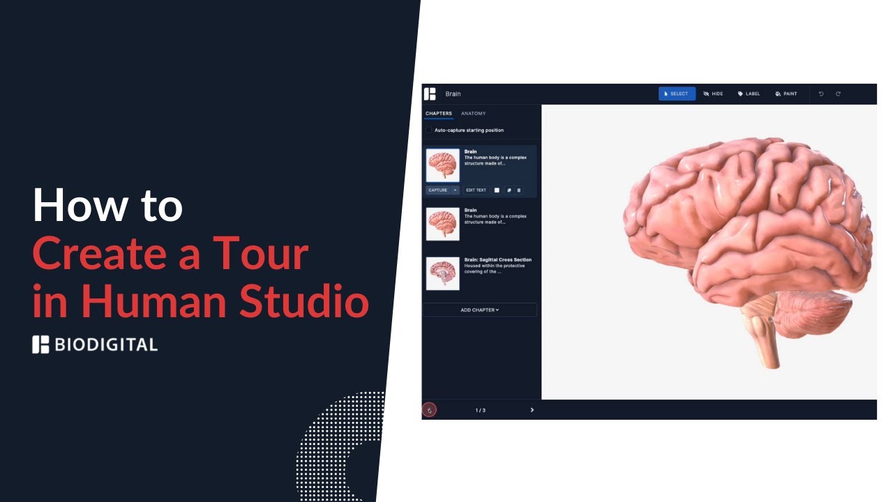 How to Create a Tour in Human Studio - YouTube