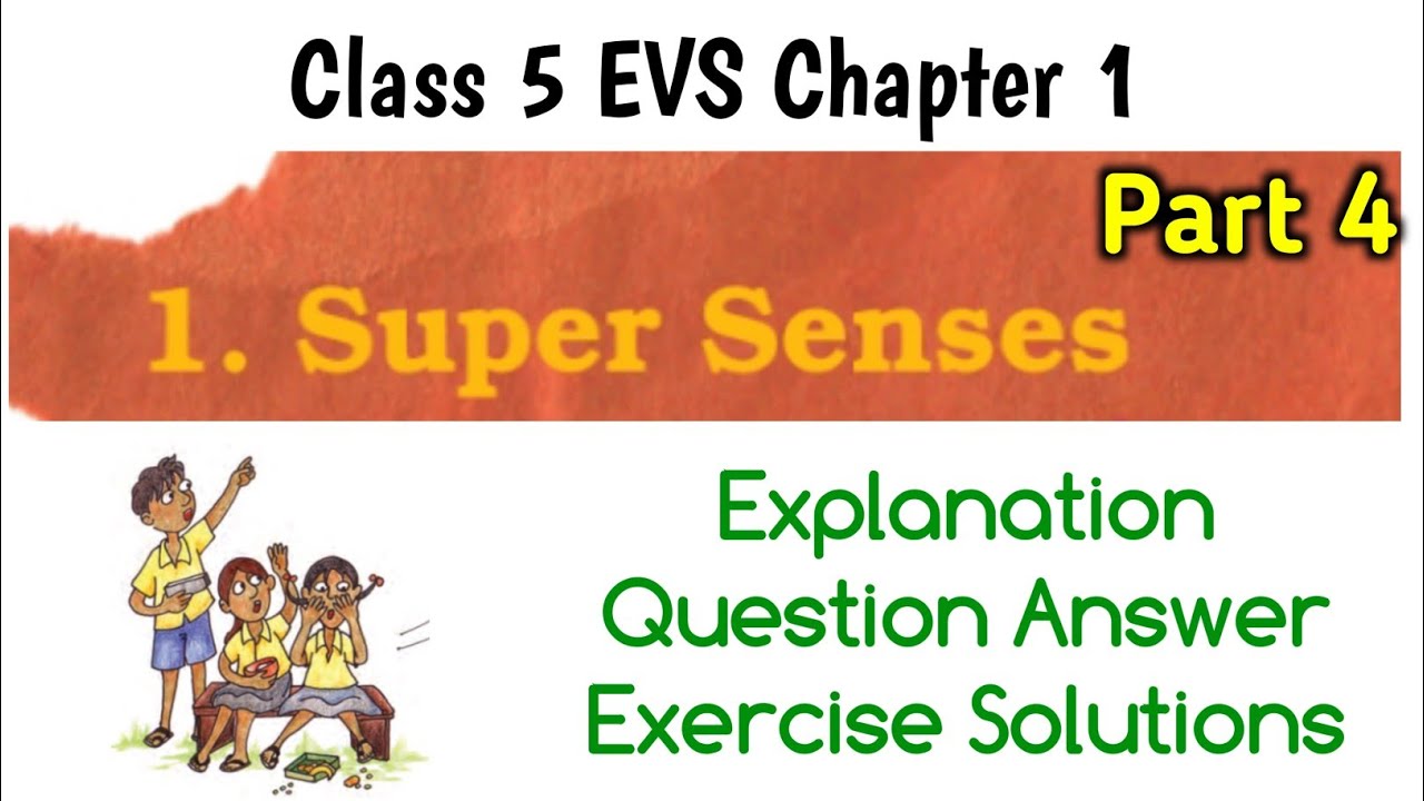 Super Senses Class 5 | EVS Chapter 1 | NCERT Class 5 Looking Around ...