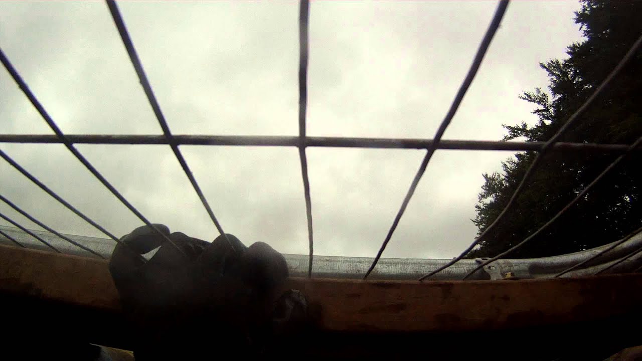 Tough Mudder Scotland 2013 - Cage Crawl - YouTube