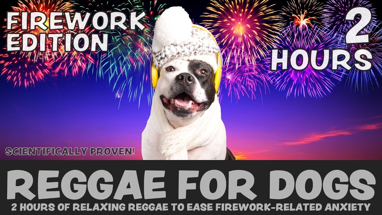 FIREWORK EDITION: 2 Hours of calming Reggae music to sooth firework ...