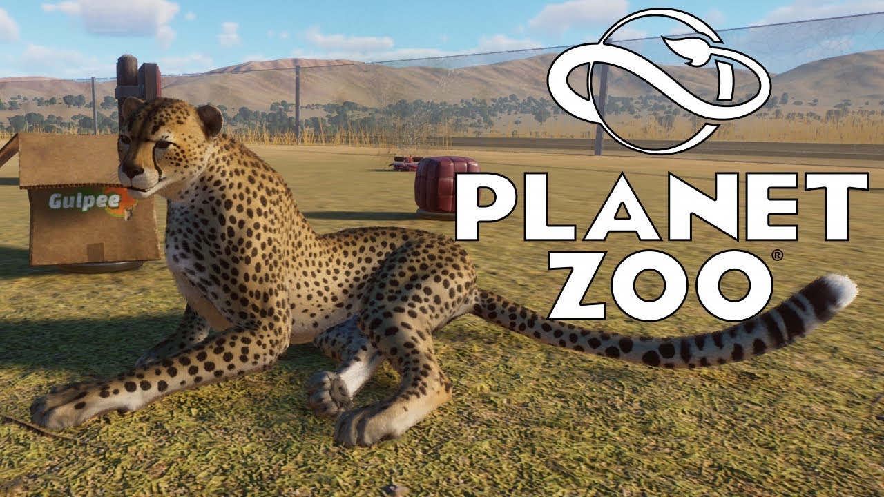 Chillin' with the Cheetah's! - Planet Zoo (Franchise) - Part 14 - YouTube