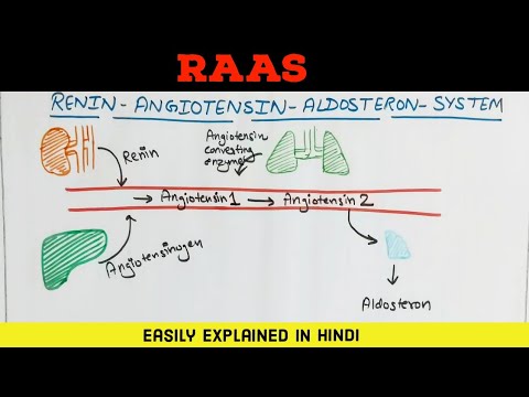 RAAS - Renin Angiotensin Aldosterone System - Easily explained in Hindi ...