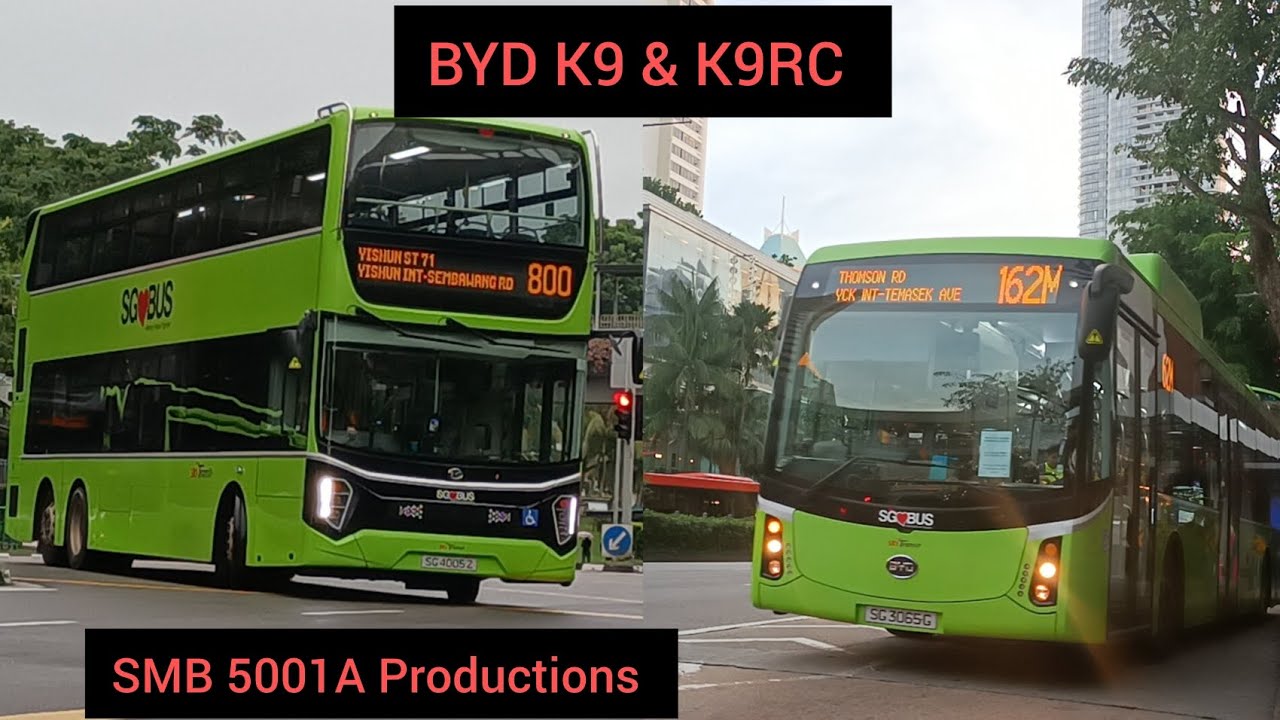 BYD K9 & K9RC - YouTube