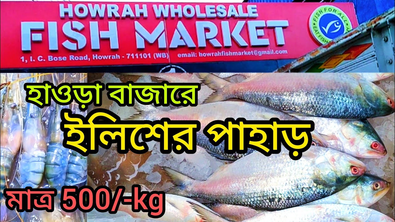 হাওড়া মাছের বাজার।Howrah wholesale fish market ll howrah fish market ...