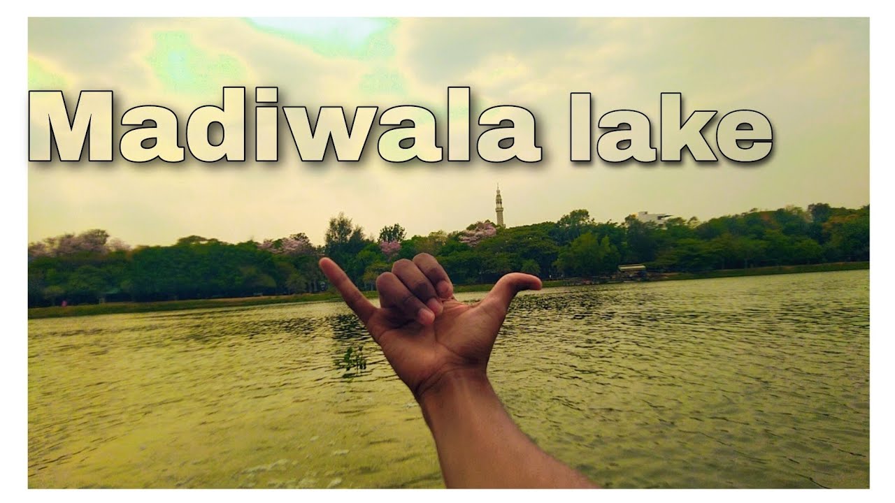 Madiwala Lake BTM Layout in Bangalore (Boat+Birds+Water= #Nature)🍃💚🍃 ...