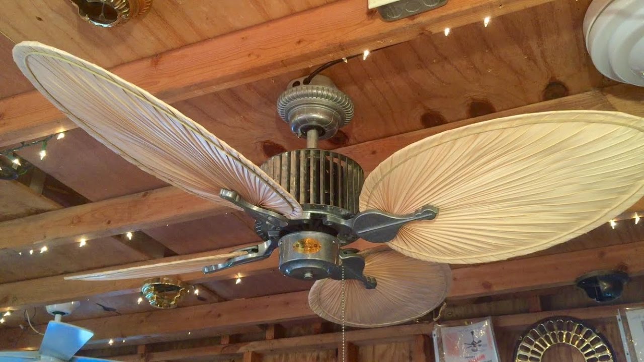Fanimation Louvre Ceiling Fan | 4 Blades (Palm) - YouTube