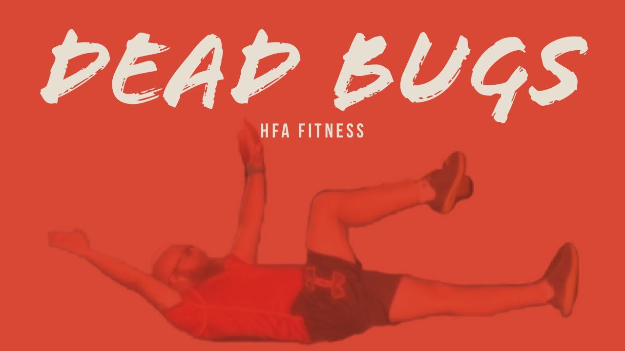 ¿Como hacer DEAD BUG? El mejor ejercicio para core abdominal - HFA ...
