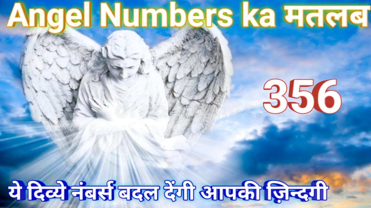 Angel Numbers 356 Meaning |Mujhe Bar Bar Kyu Dikhai De Raha Hai ...